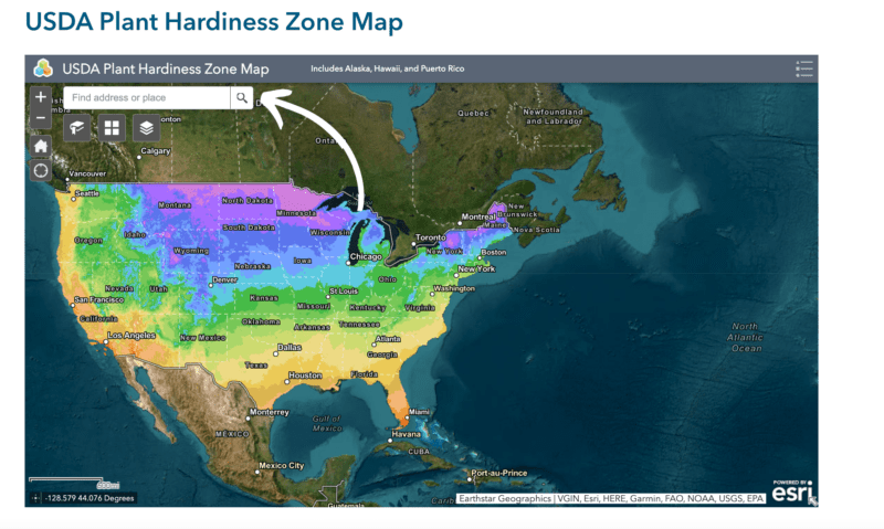 A Quick Guide to Plant Hardiness Zones Definition - Cedar Homestead