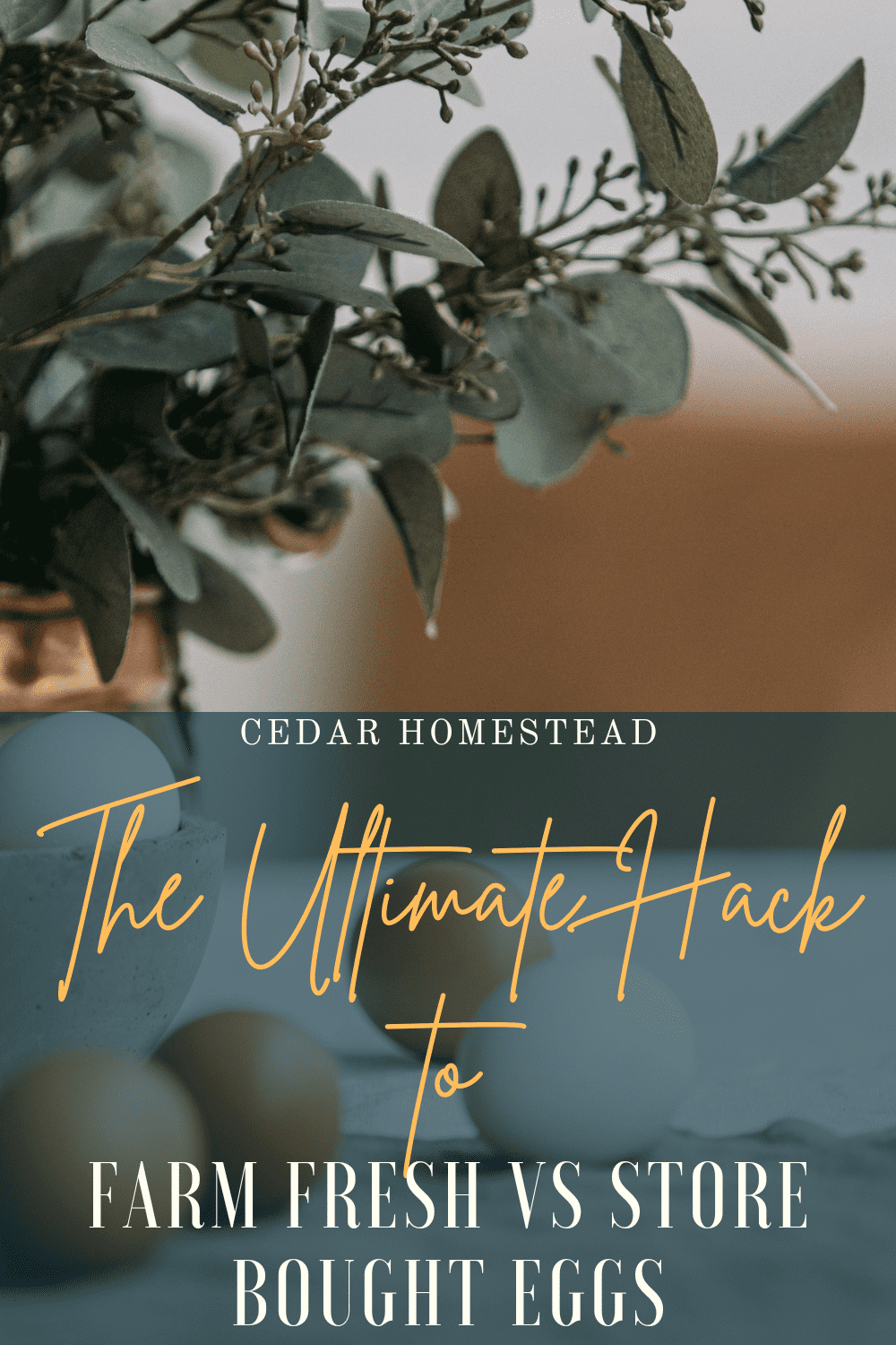 The Ultimate Hack to Farm Fresh vs Store Bought Eggs