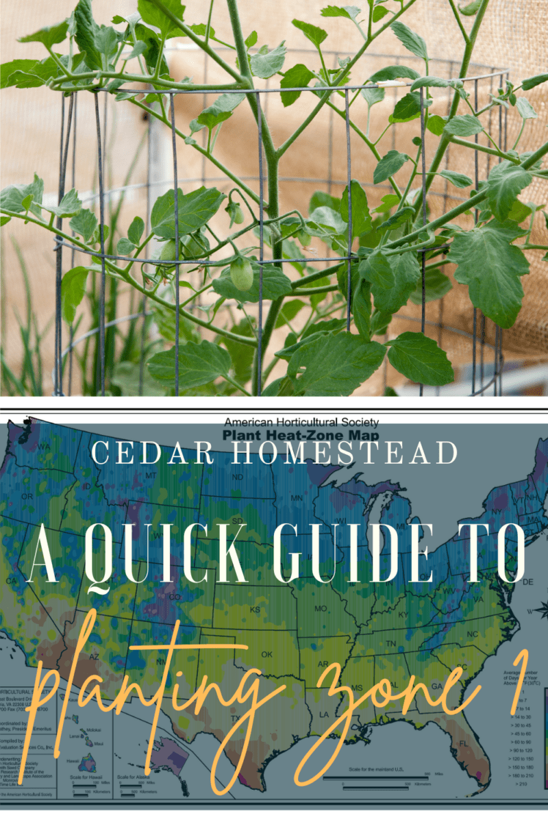 Quick Guide to Planting Zone 1 - Cedar Homestead