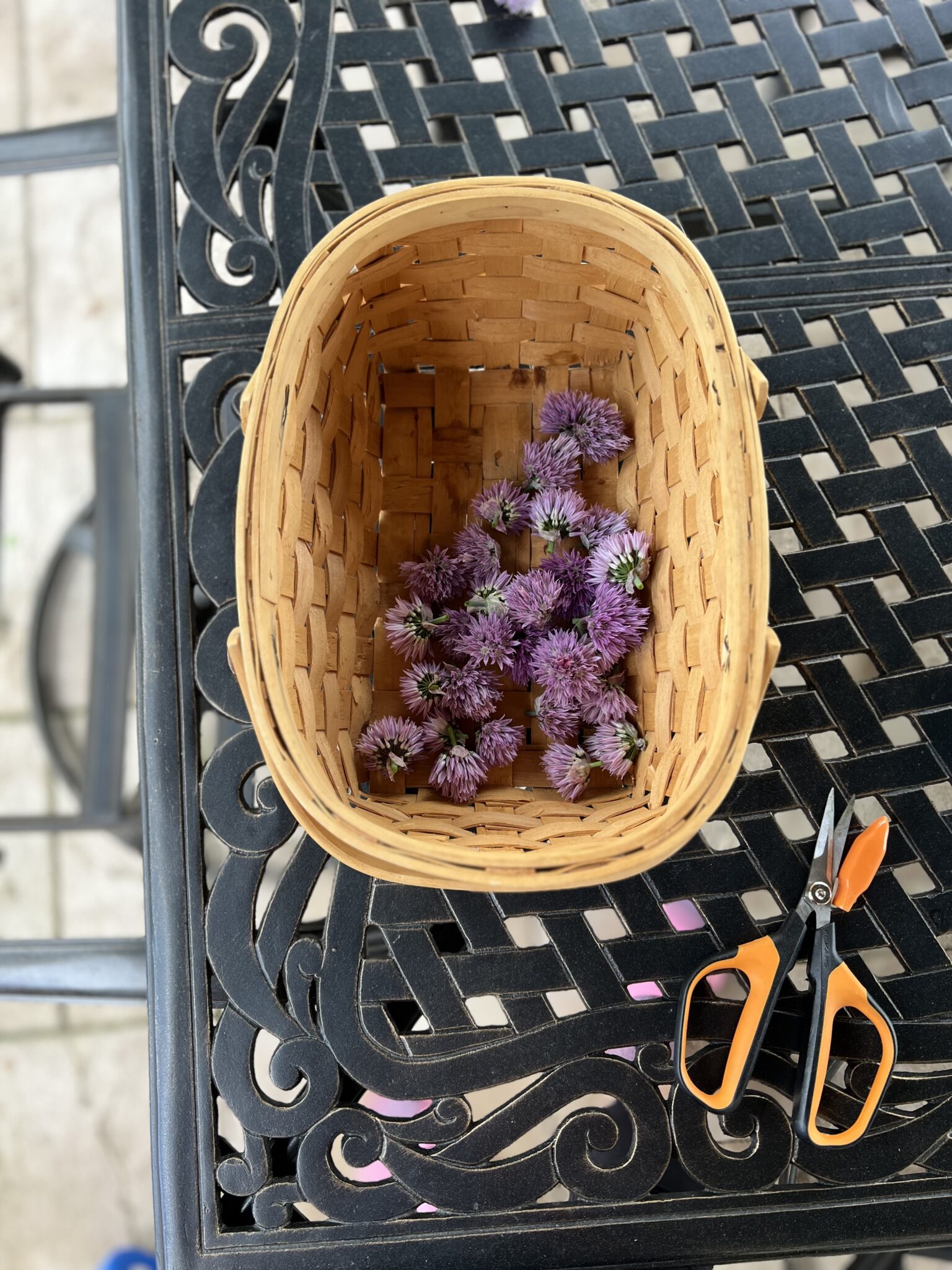 Why Chives Flowers Are More than Just a Pretty Sight - Cedar Homestead
