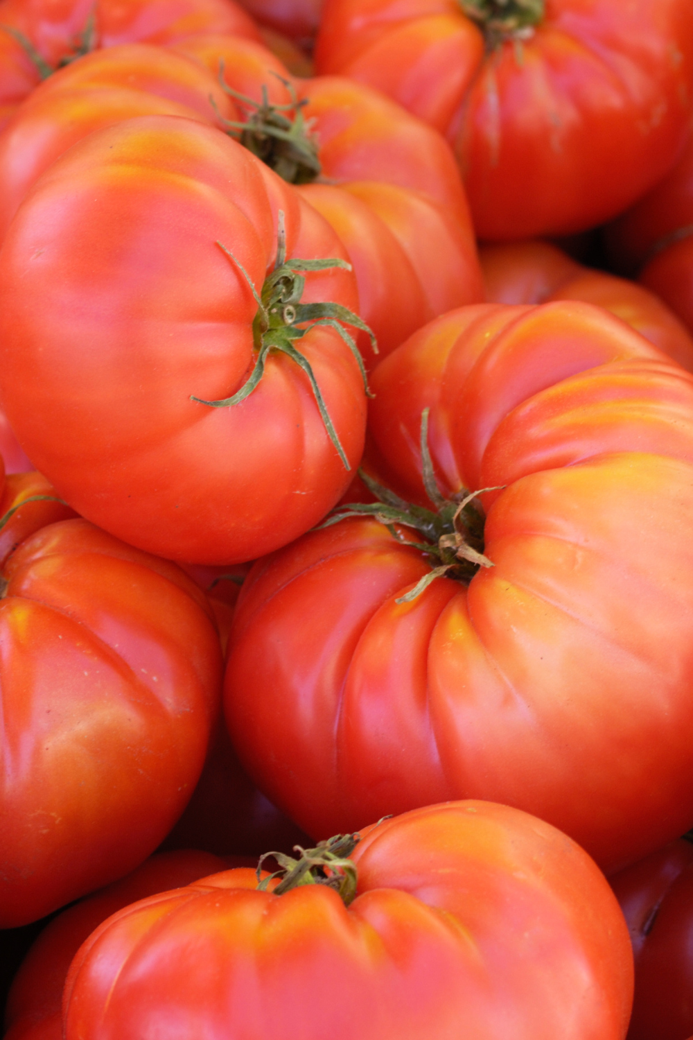 The Best Sweet Tomatoes Varieties to Try This Summer - Cedar Homestead