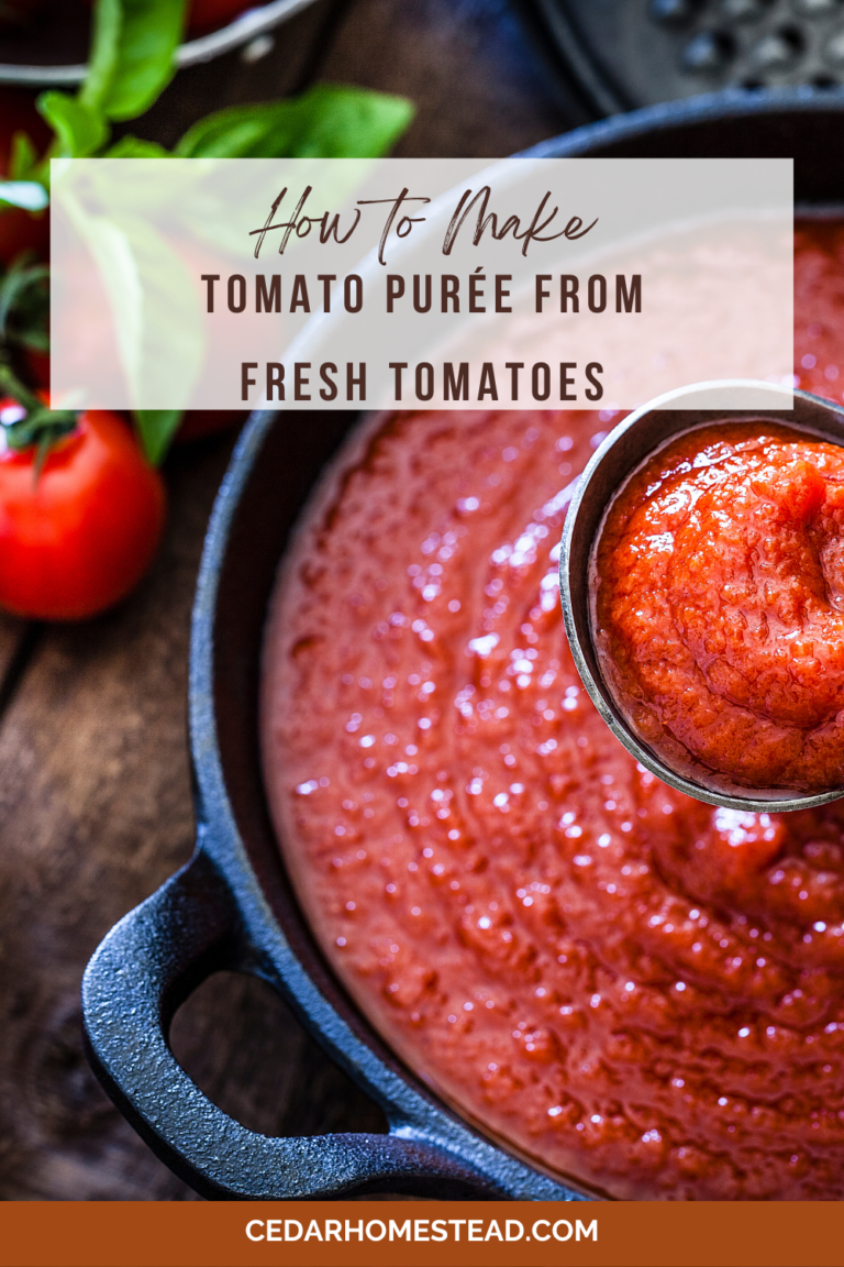 How to Make Tomato Puree from Fresh Tomatoes - Cedar Homestead