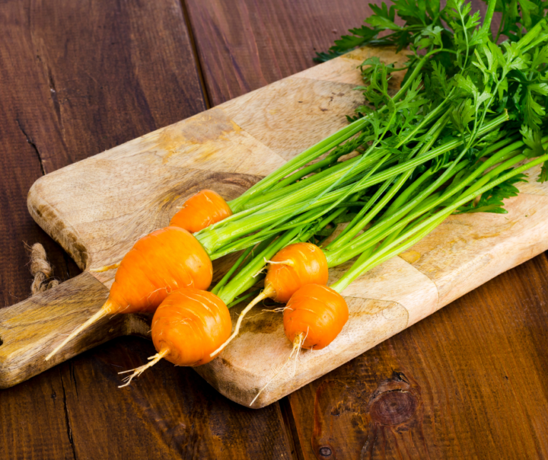 The Complete Guide to Square Foot Gardening with Carrots - Cedar Homestead