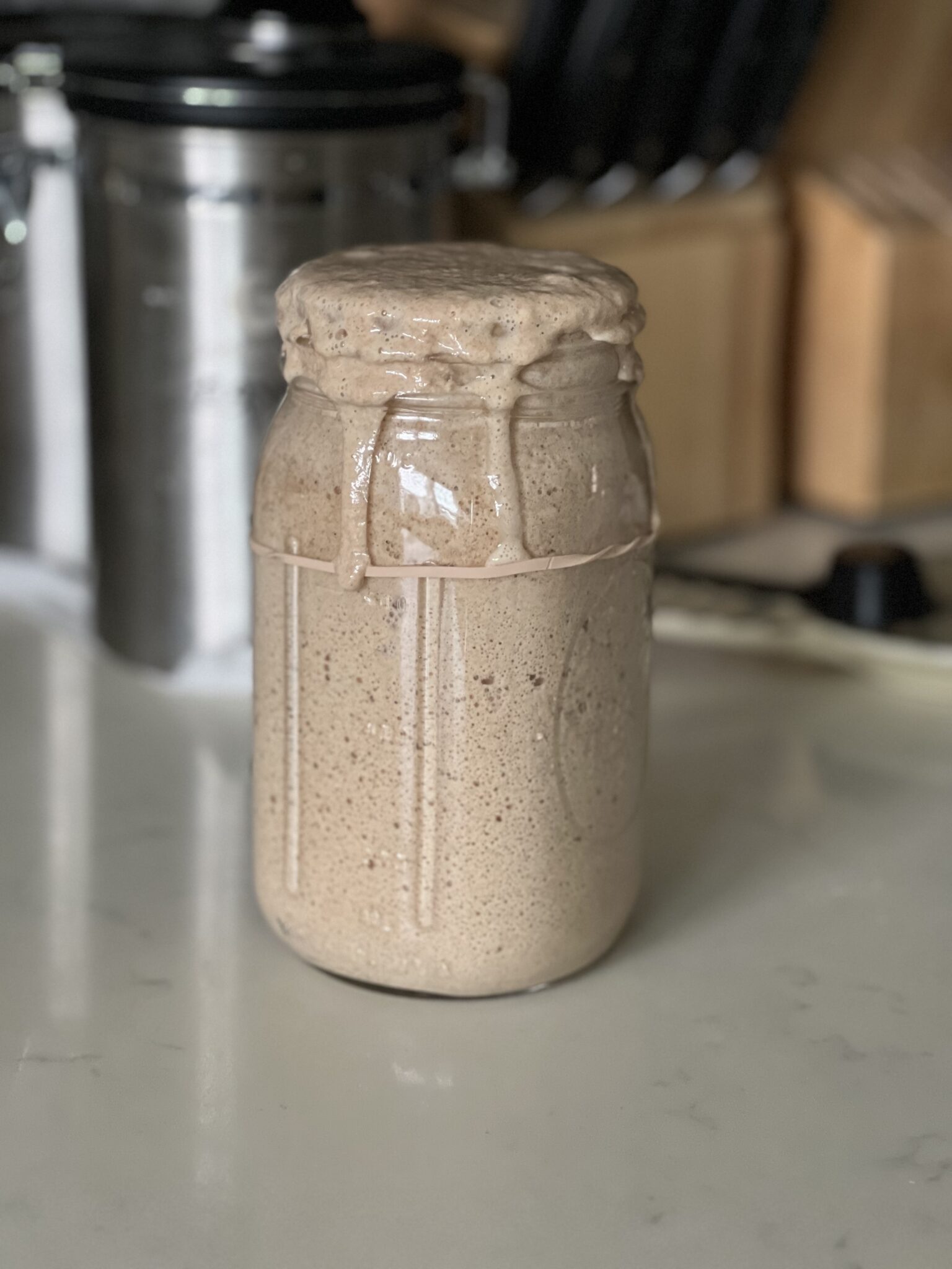 The Great Mystery: Why Does Your Sourdough Starter Smells Like Alcohol ...