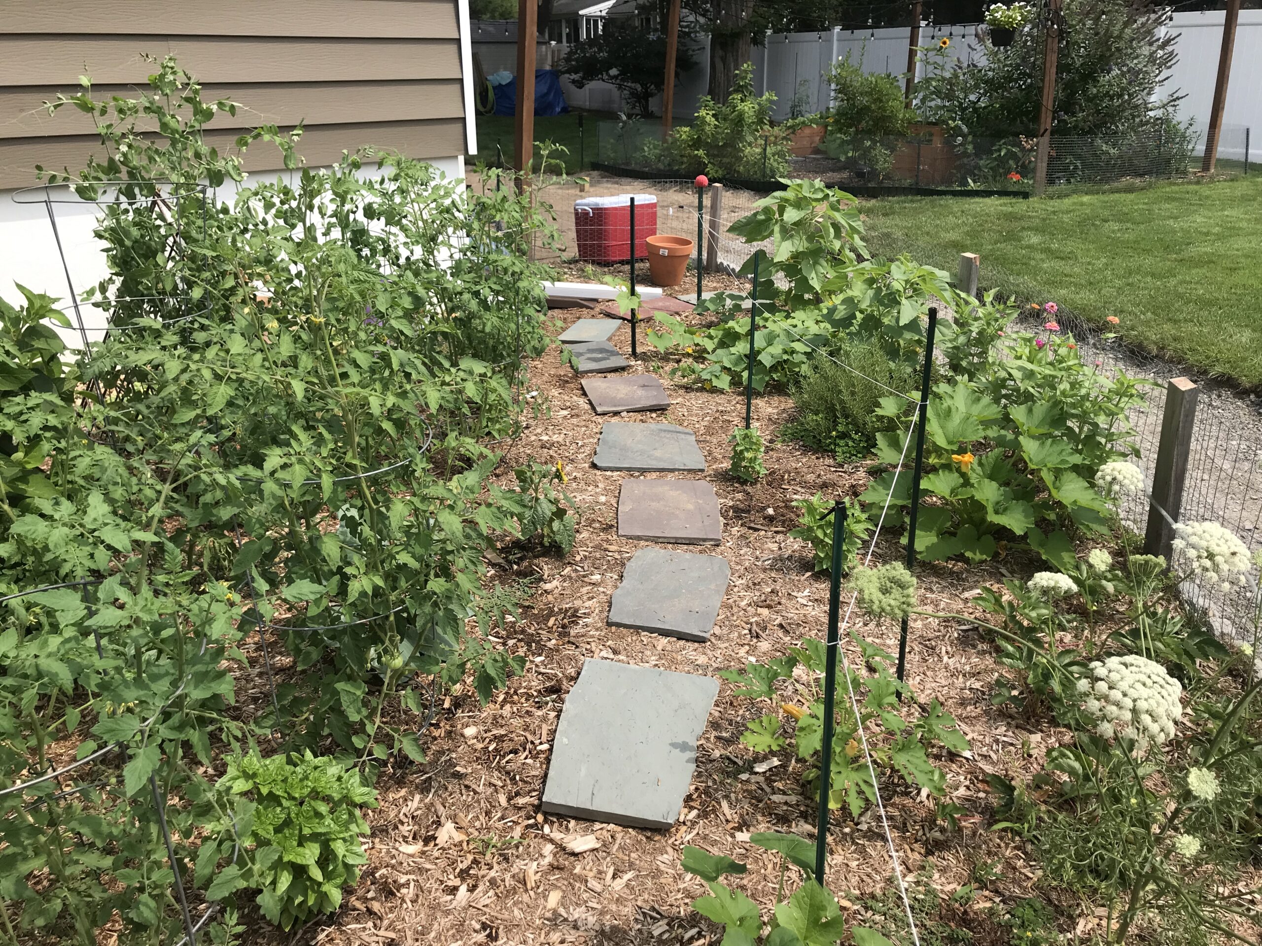 Hack: How to Keep Pests out of the Garden Naturally with Herb Companion ...