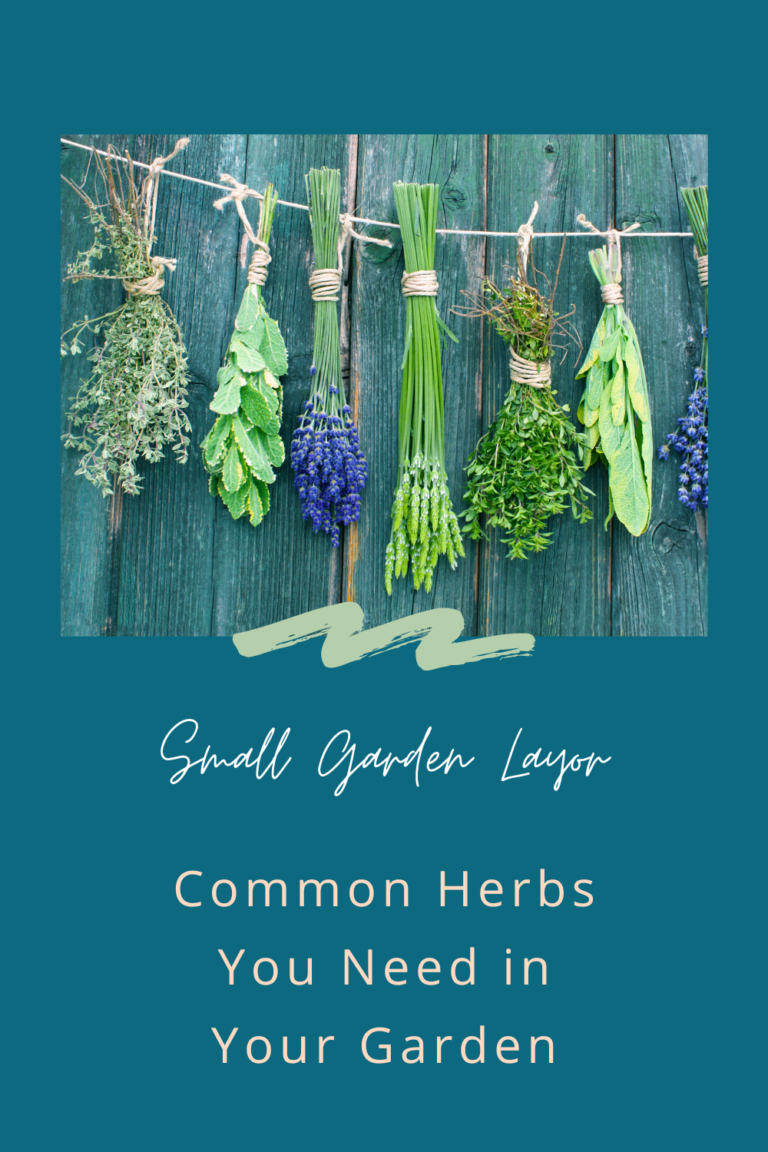 Common Herbs You Need in Your Garden - Cedar Homestead
