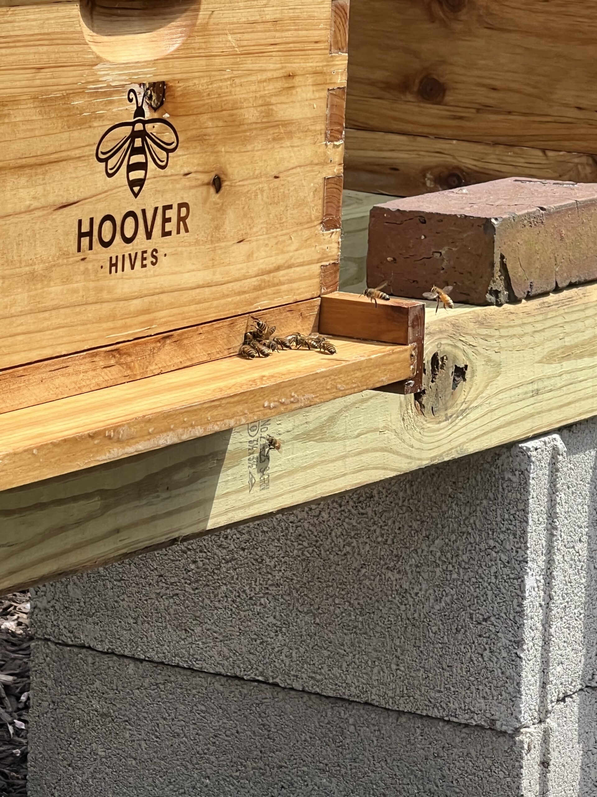 Beekeeping for Beginners: How Many Bee Hives per Acre? - Cedar Homestead