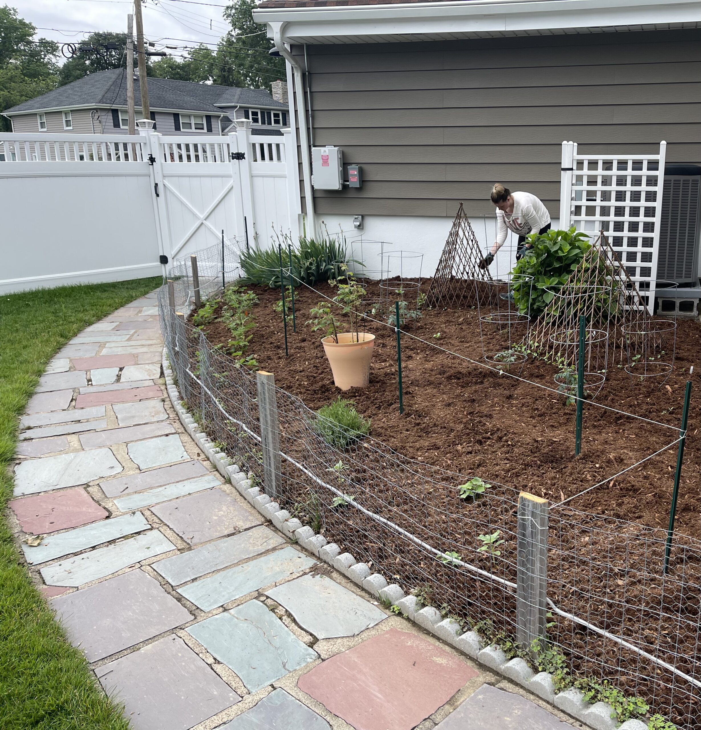 How to Keep Rabbits Out of Your Garden—Natural & Effective Solutions ...