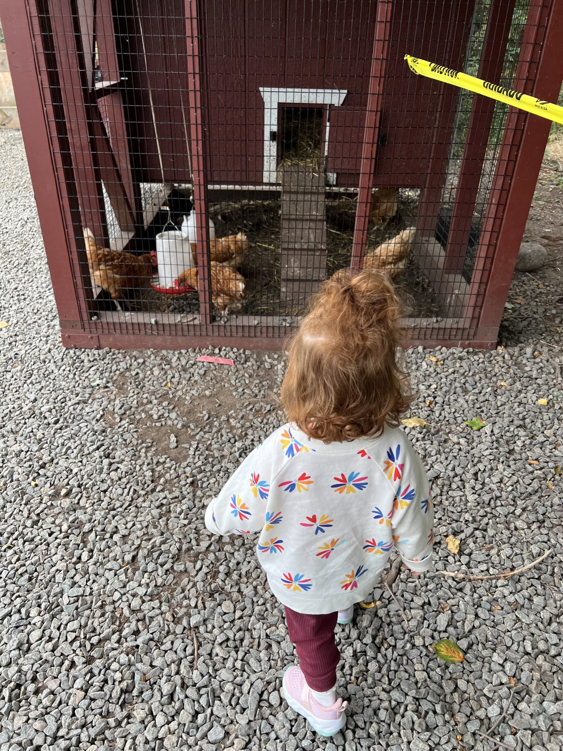 The Ultimate Guide to Spring Activities for Preschoolers - Cedar Homestead